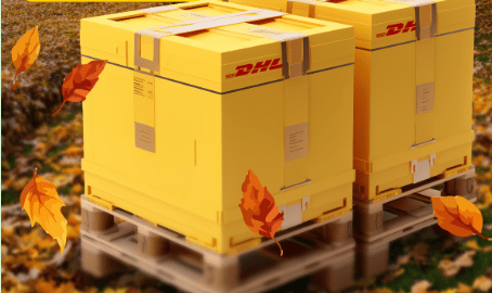 DHL EXPRESS | Express package abroad, online shipping calculation